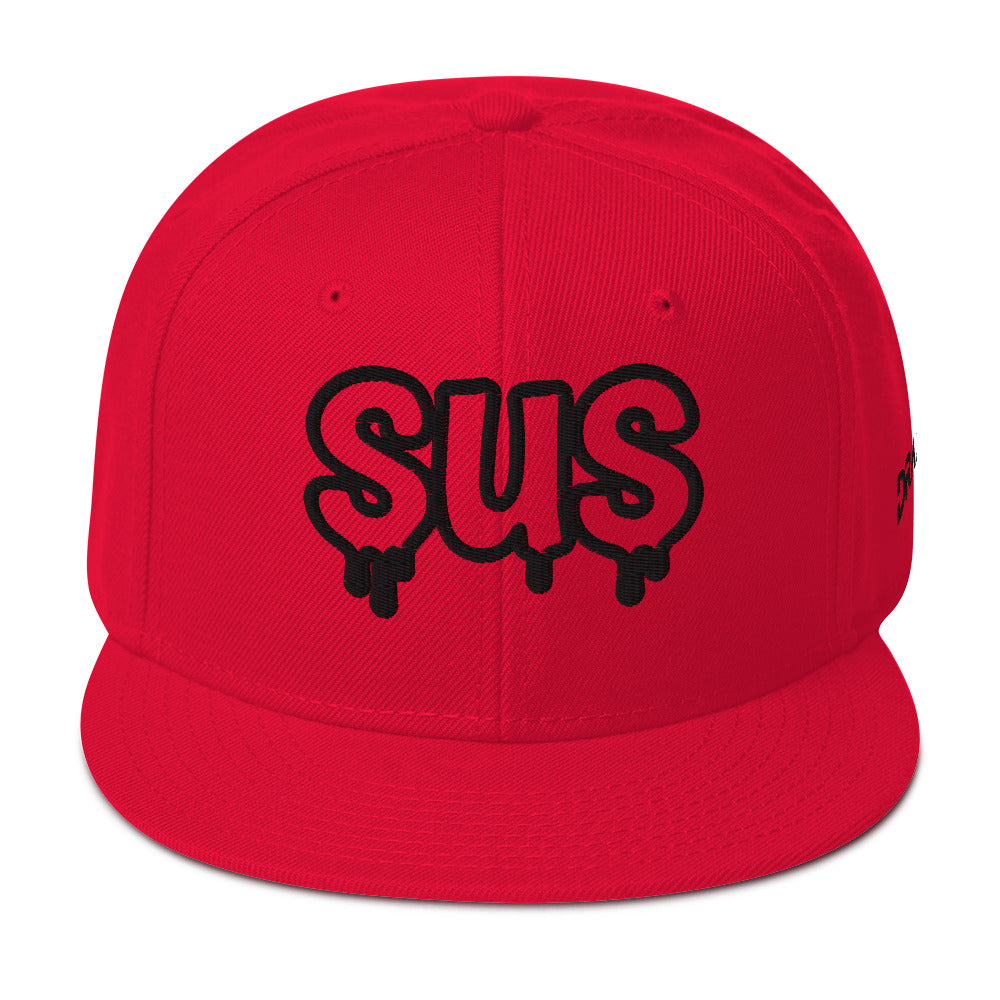 Snapback Hat (SUS)